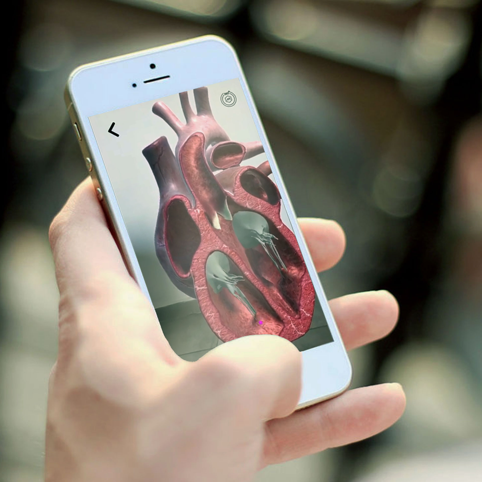 Aipha-G – Inteligencia Artificial & Realidad Aumentada